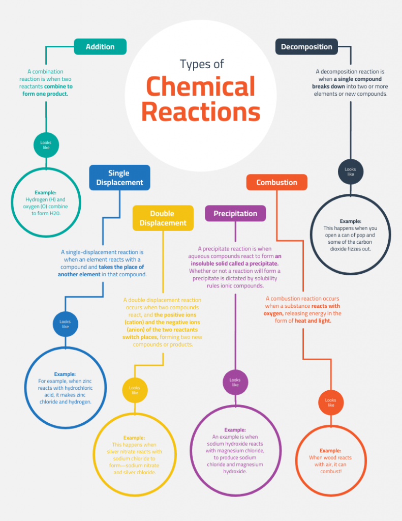 10+ Concept Map Examples to Organize Ideas - Venngage