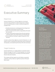 Executive Briefing Template - Venngage