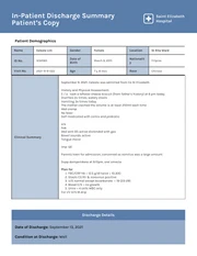 Medical Report Template - Venngage