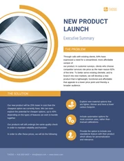 Executive Summary Template - Venngage