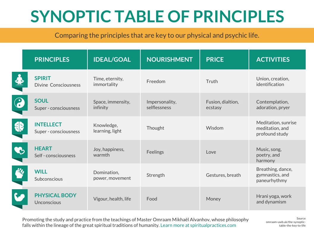 Synoptic Table of Principles Comparison Infographic - Venngage