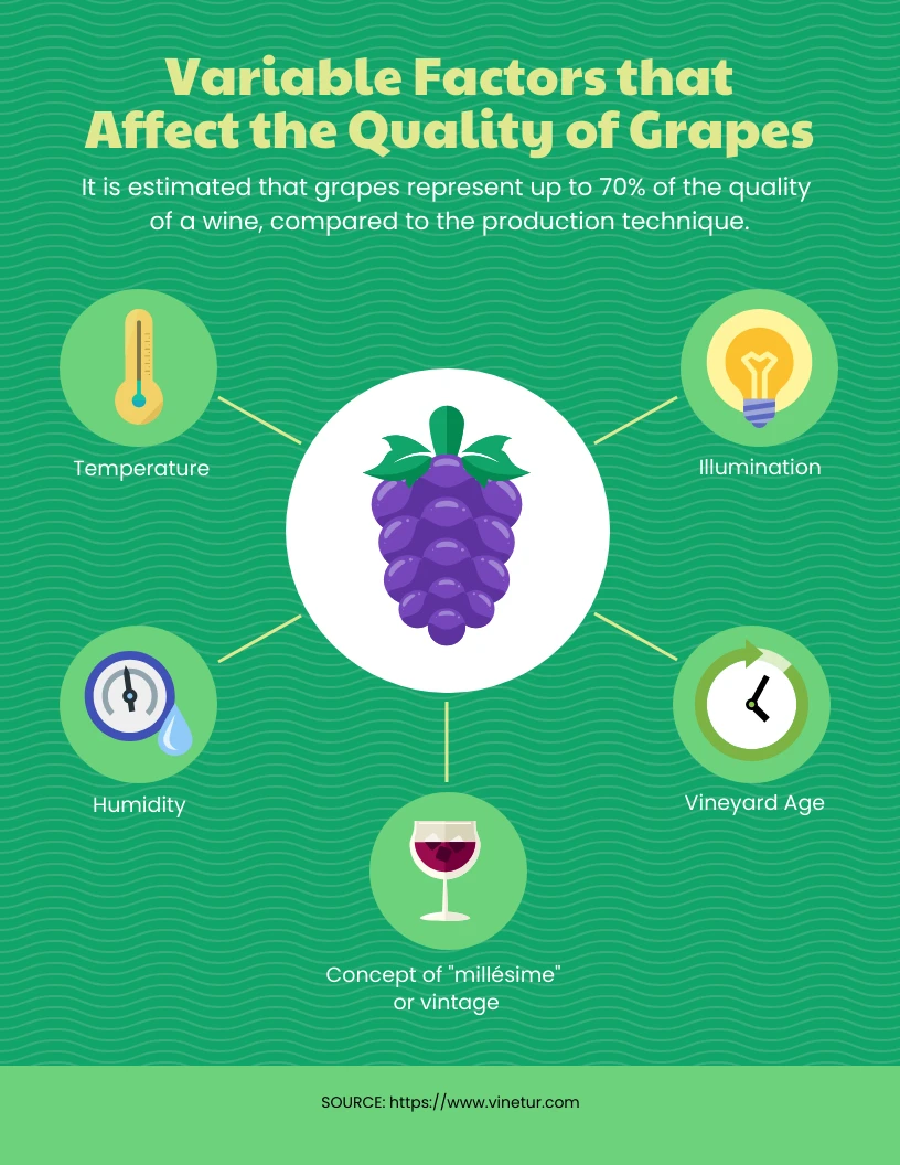 Factors Affecting Quality of Grapes Chart Infographic Template - Venngage