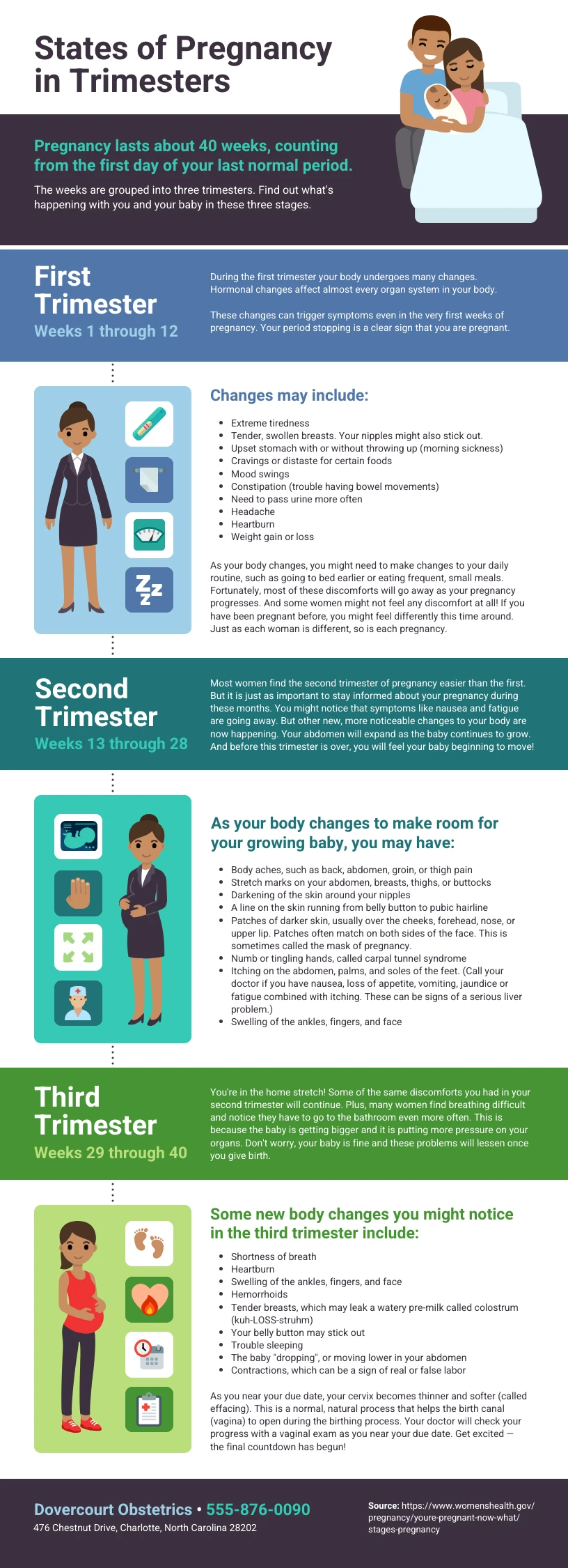 States of Pregnancy Timeline Infographic Template - Venngage