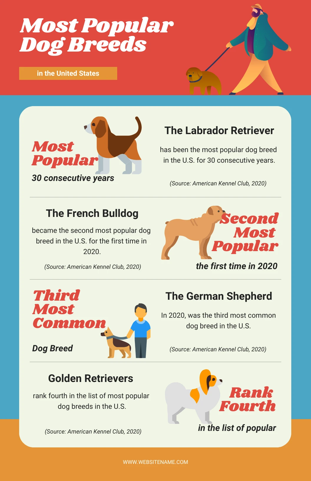 Dogs Infographic