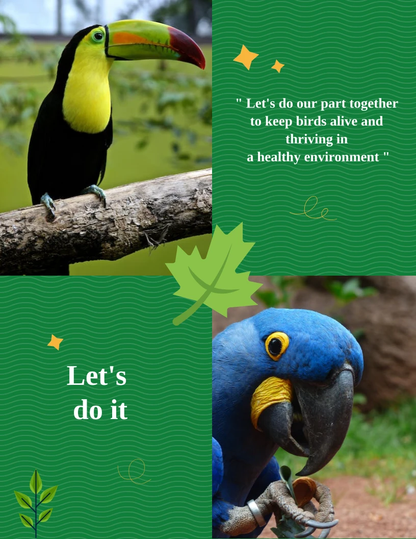 Parrot rescue campaign green poster Template - Venngage