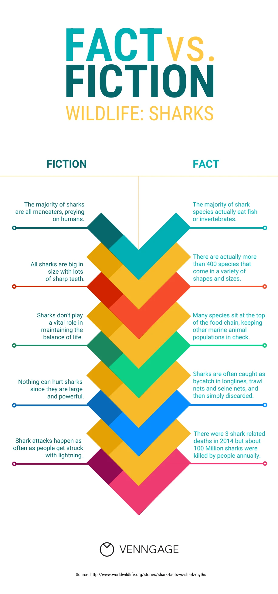 Sharks Fact Vs Fiction Infographic Template - Venngage