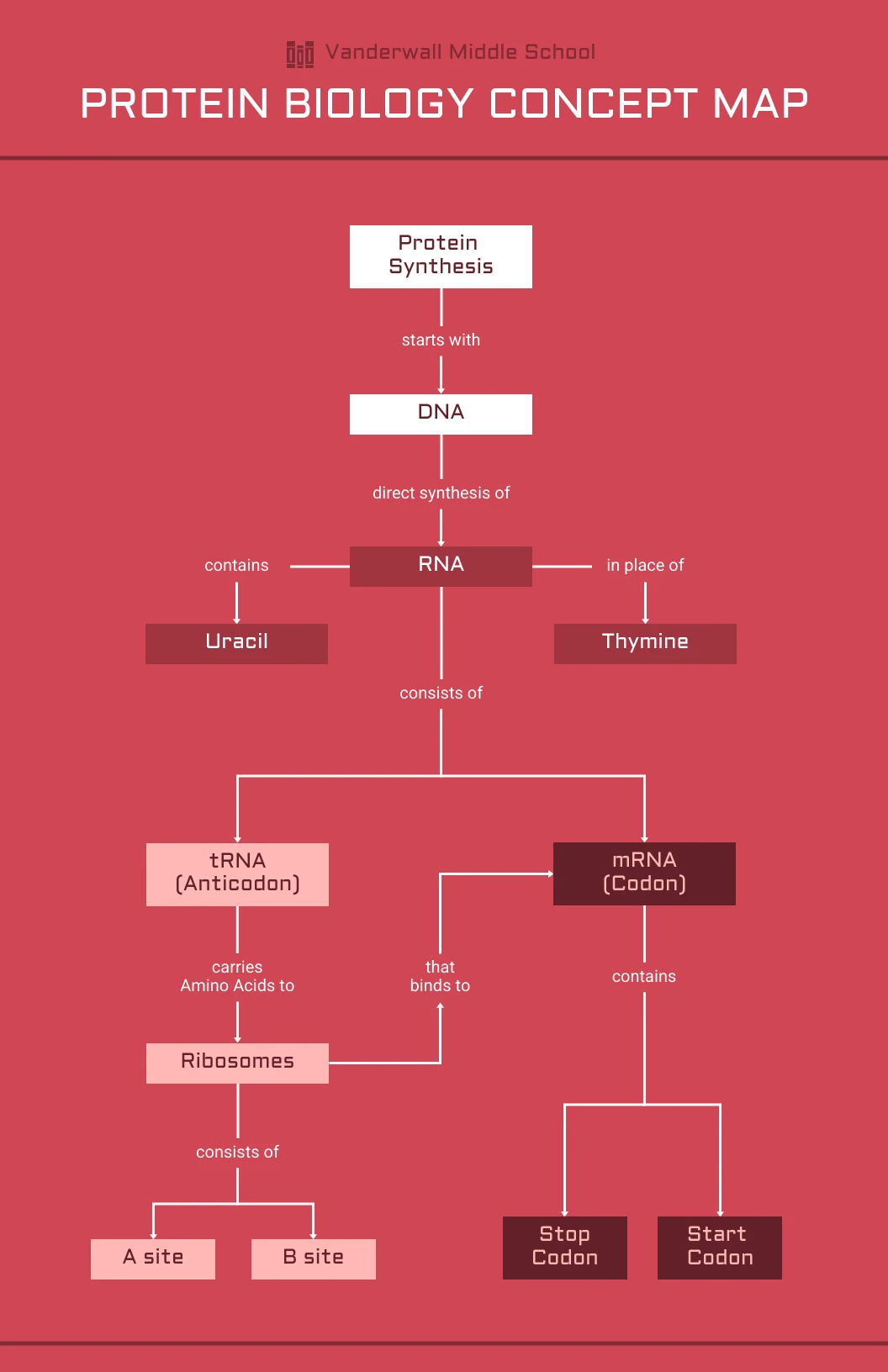 Nucleic Acid Concept Map