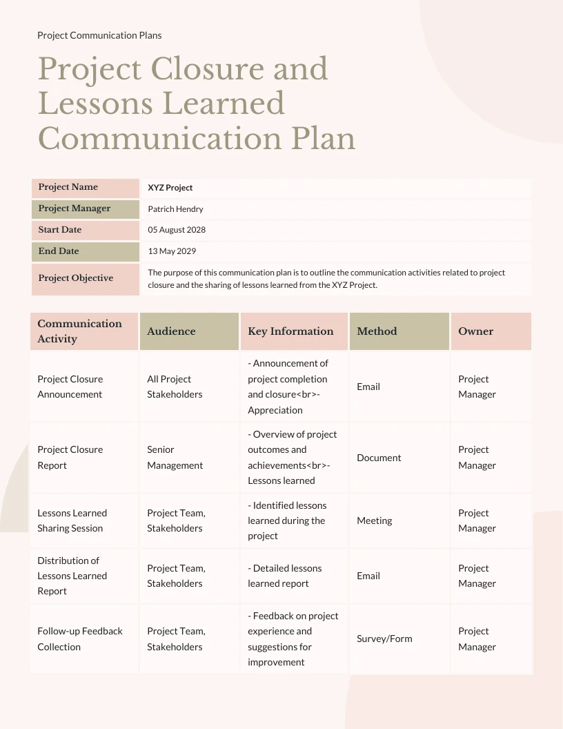 Aesthetic Project Communication Plan Template - Venngage