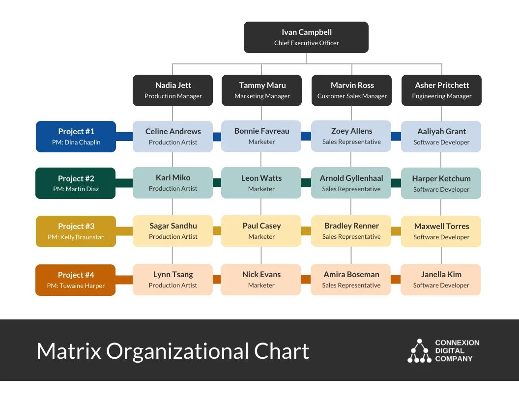 Management Matrix Organizational Chart Template - Venngage