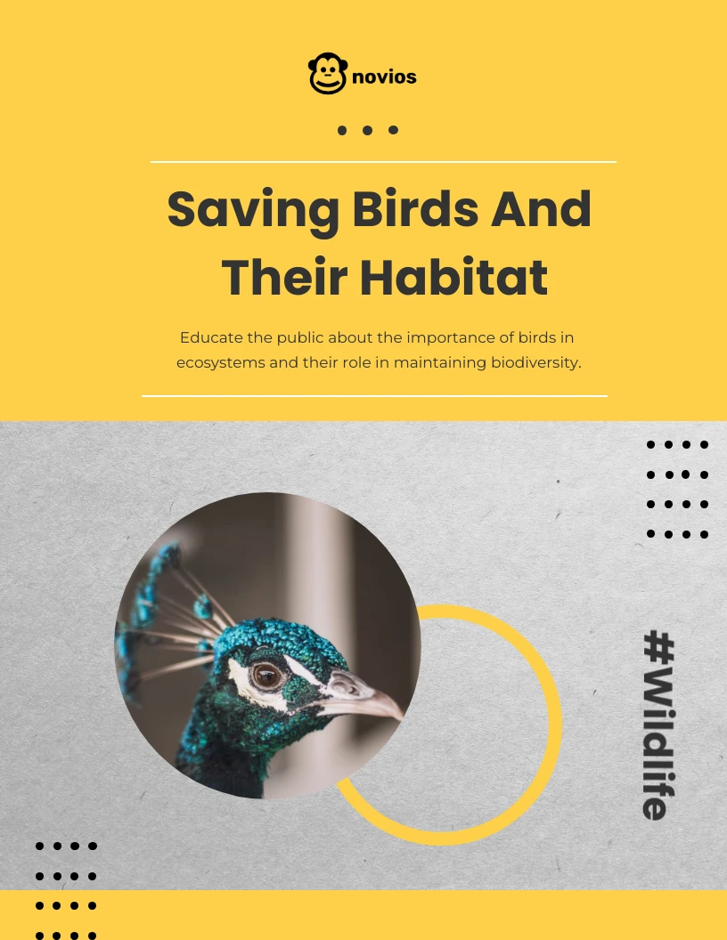 Wildlife Protection Birds Flyer Template - Venngage