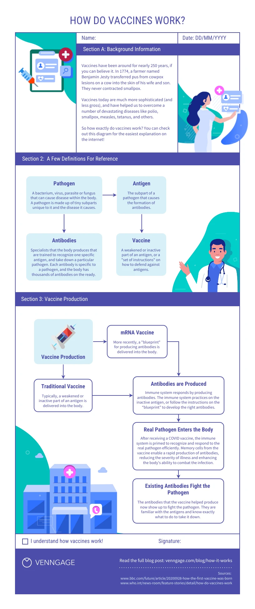 How Do Vaccines Work Flowchart Diagram Template - Venngage