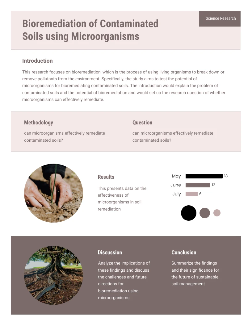 Pastel Bioremediation of Contaminated Soils - Venngage