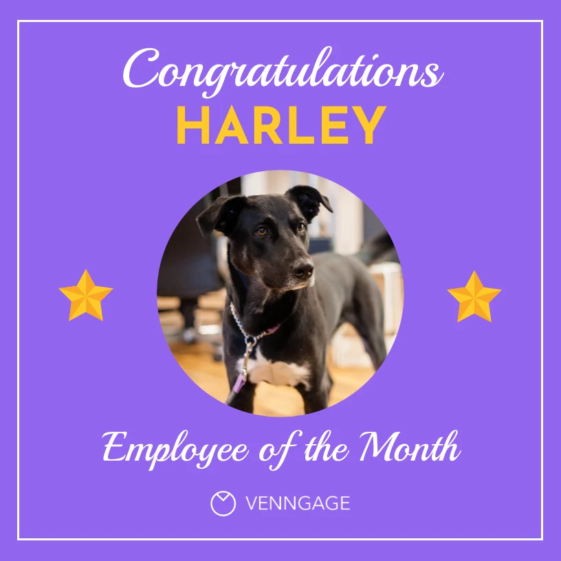 Stars Employee Month Congratulations Card - Venngage