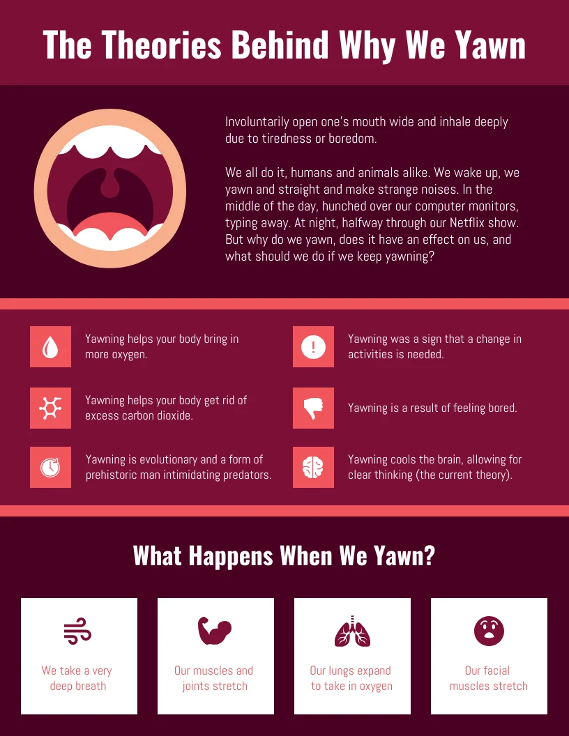 The Theories Behind Why We Yawn Infographic Template - Venngage