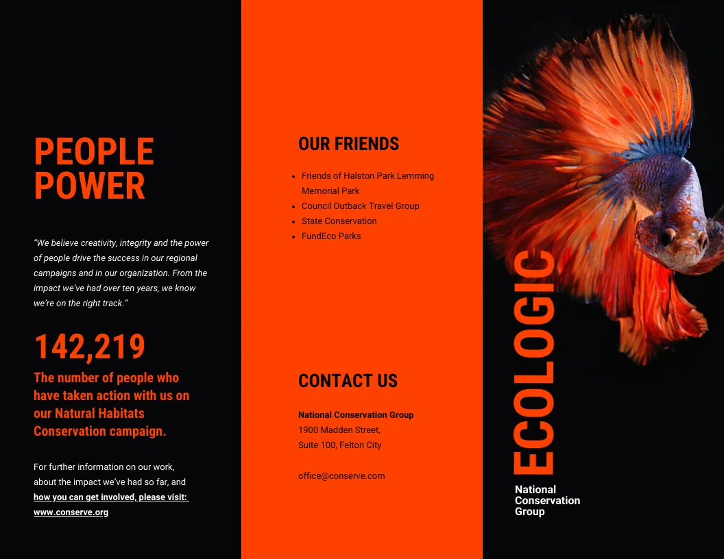 Science Tri Fold Brochure Template