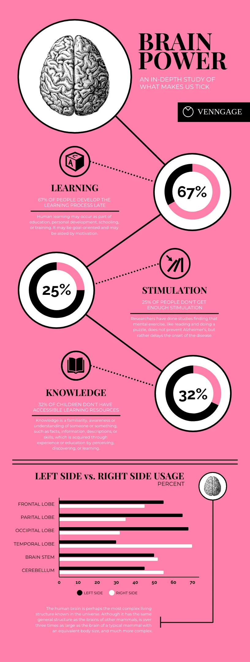 Brain Power Infographic Template - Venngage