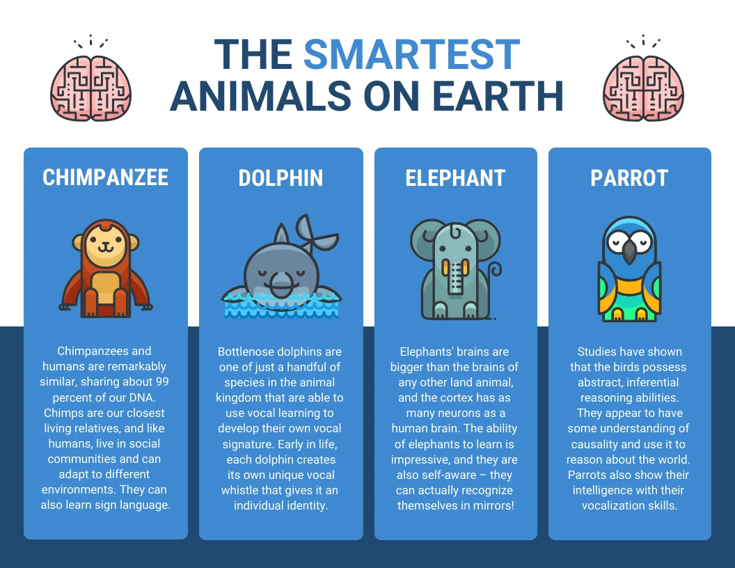 Simple Intelligent Animal Teaching Aids - Venngage Simple Intelligent Animal Teaching Aids - Venngage