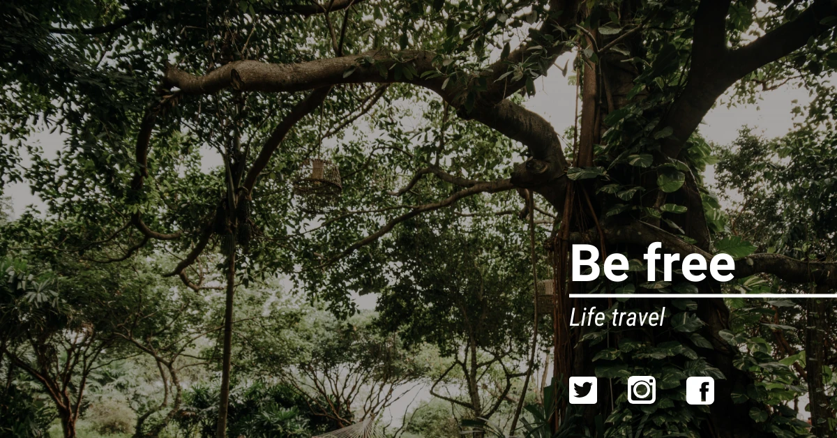 Green Travel Photography General LinkedIn Banner - Venngage