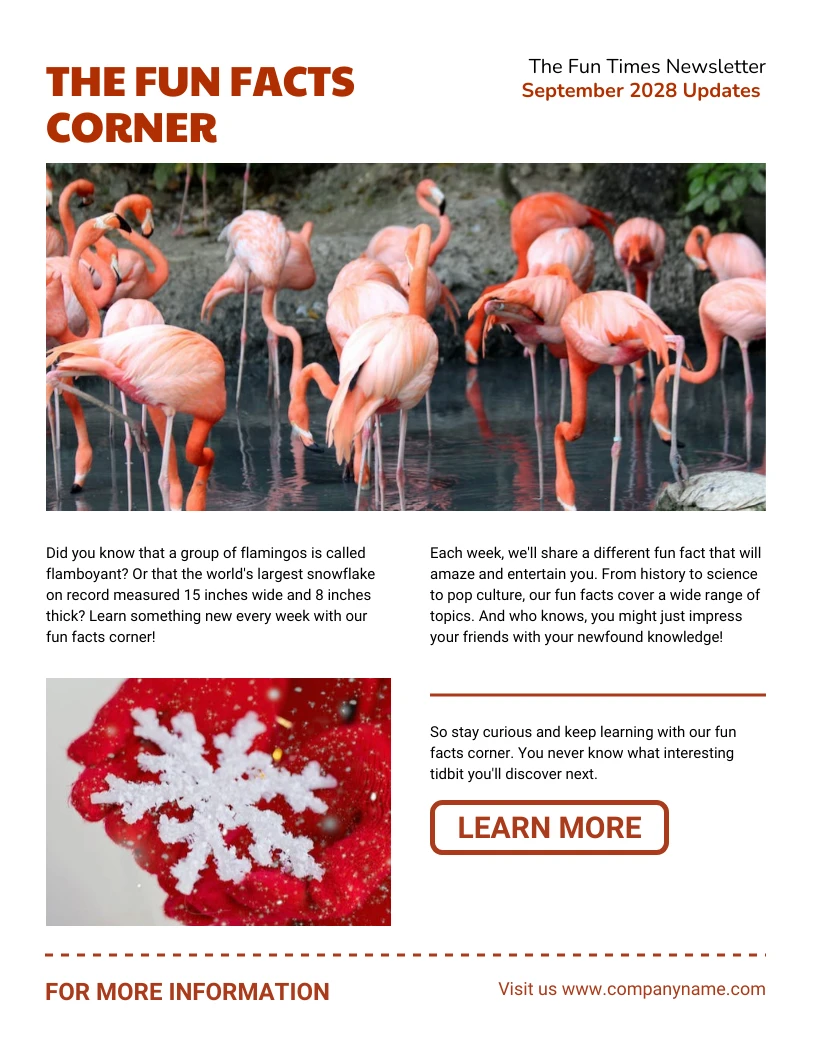 White Red Fun Facts Event Newsletter Template - Venngage