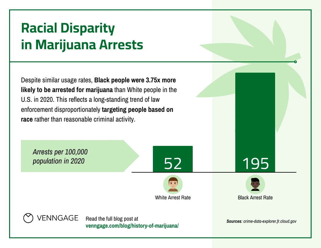 Racial Disparity in Marijuana Arrests Bar Graph Template - Venngage