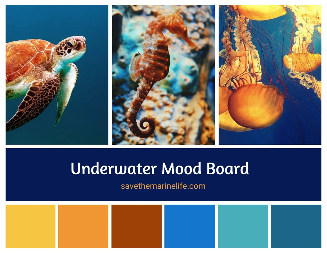 Underwater Mood Board - Venngage