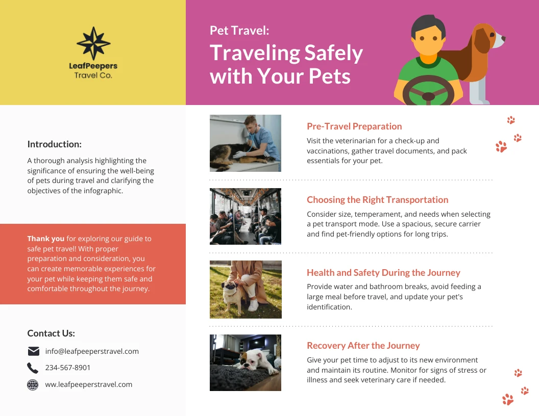 Traveling Safely with Your Pets Infographic - Venngage