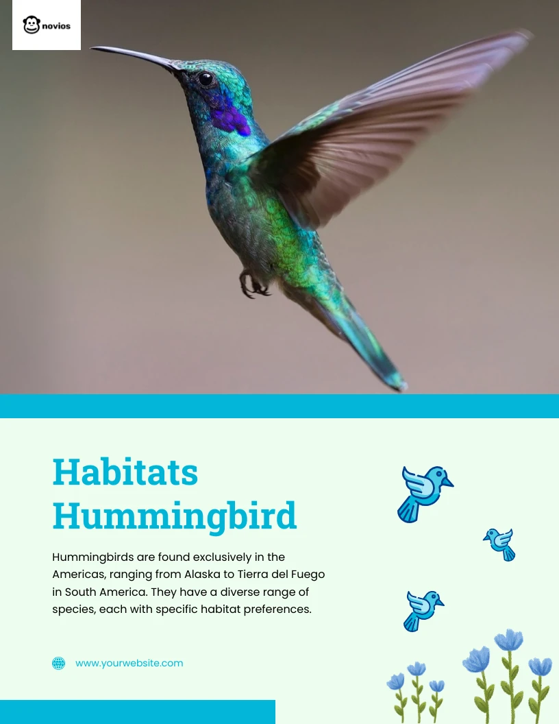 Hummingbird Habitat Flyer Template - Venngage