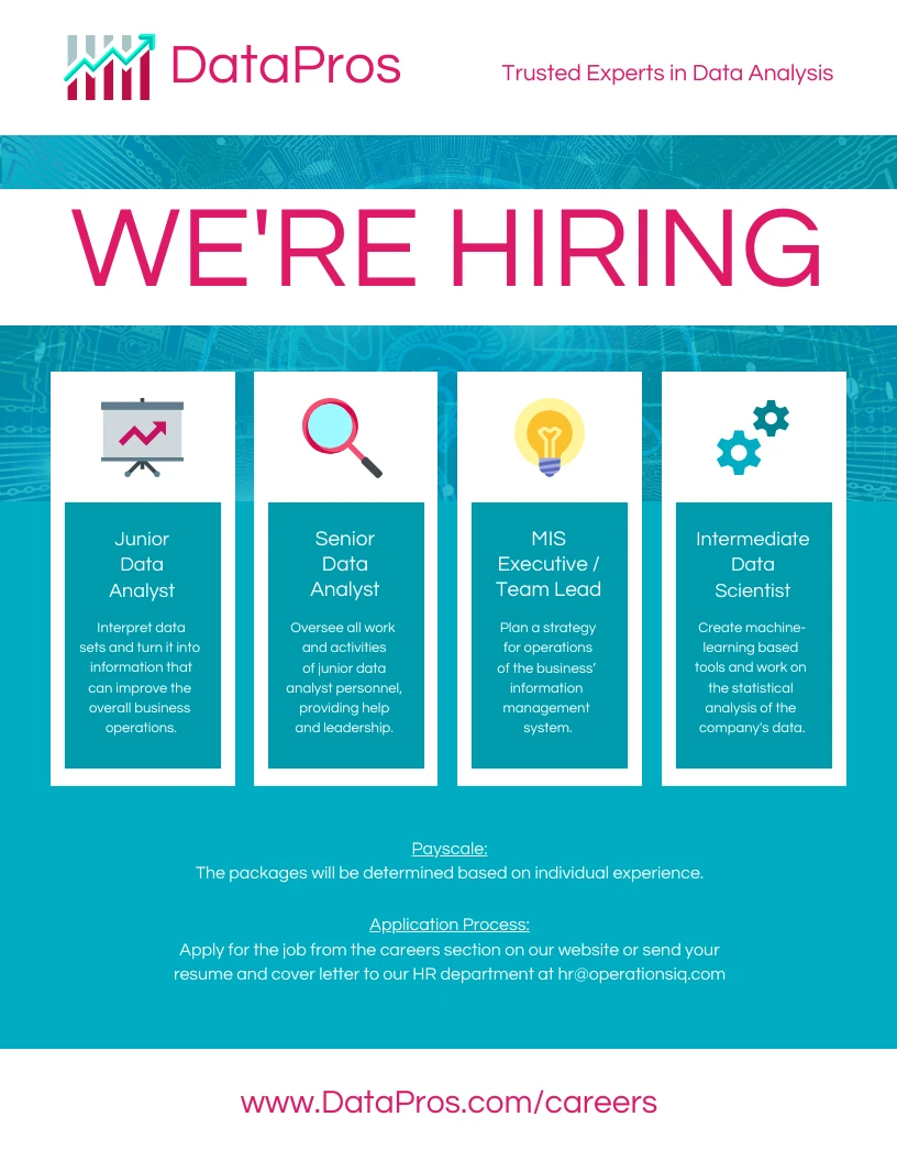 Data Company Hiring Job Flyer Template - Venngage