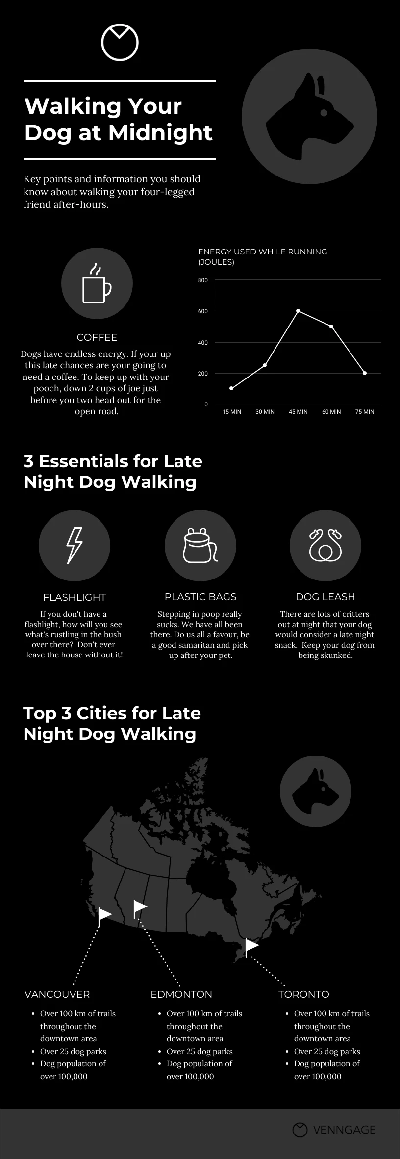 Midnight Walk Infographic Template - Venngage