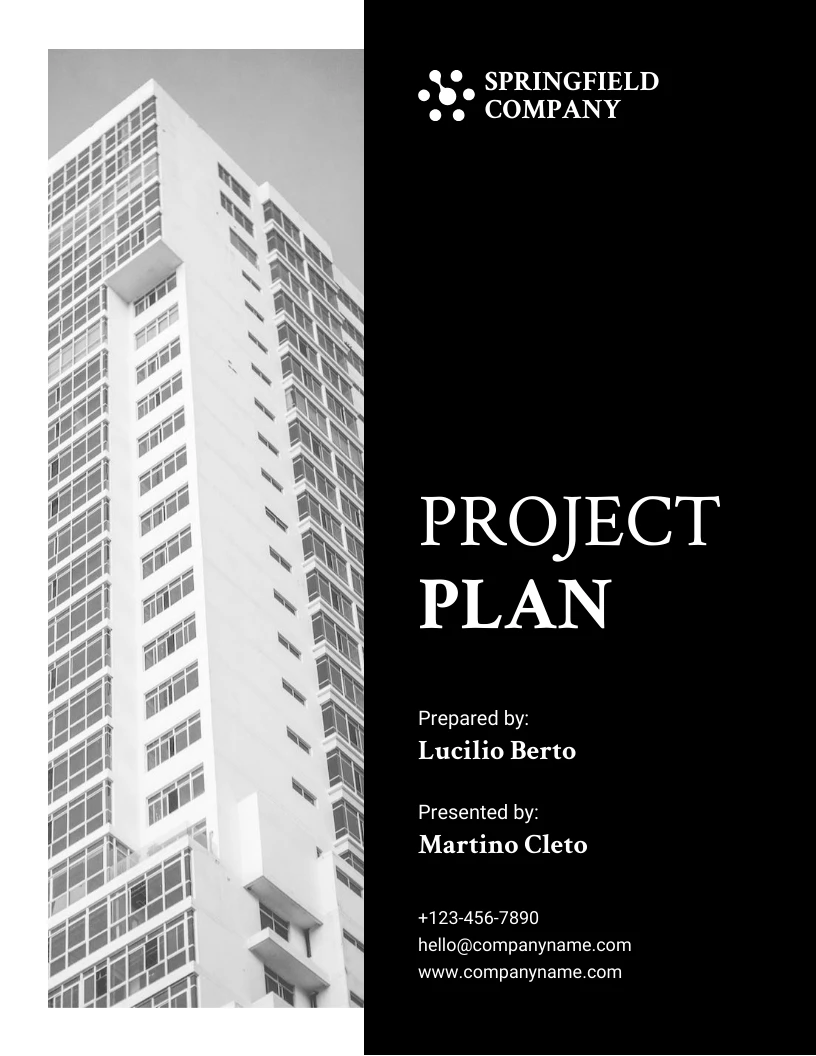 Elegant Luxury Business Company Project Plan Template - Venngage