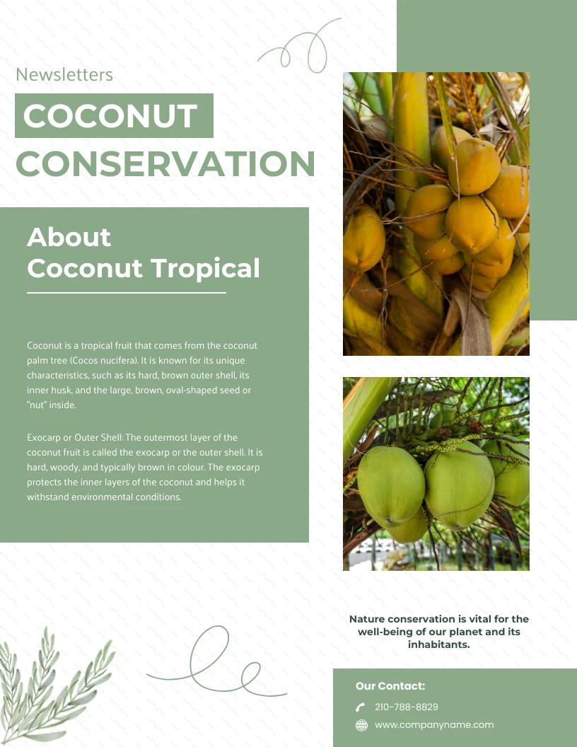 Green Nature Business Newsletters Template - Venngage