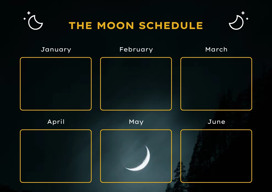 Black Simple The Moon Schedule Template - Venngage