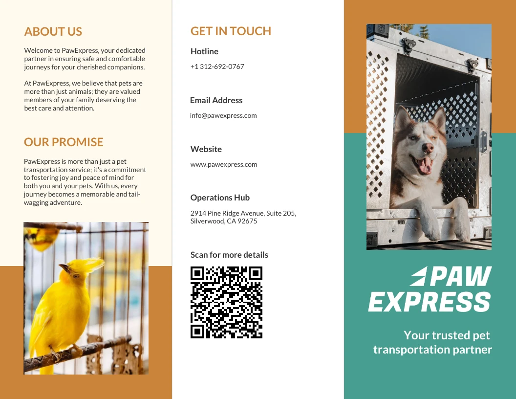Pet Transportation Services Brochure Template - Venngage