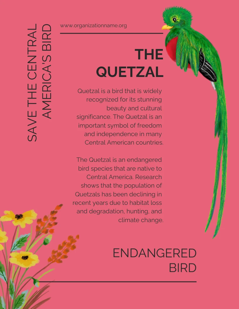 Vintage Retro Style Save Endangered Birds The Quetzal Template - Venngage