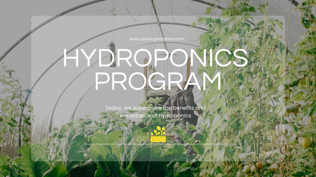 Hydroponic Program Presentation Template - Venngage