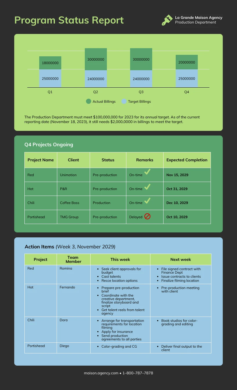 Plantilla de informe de situación del programa - Venngage