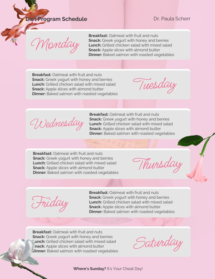 Diet Program Schedule Pink Template - Venngage