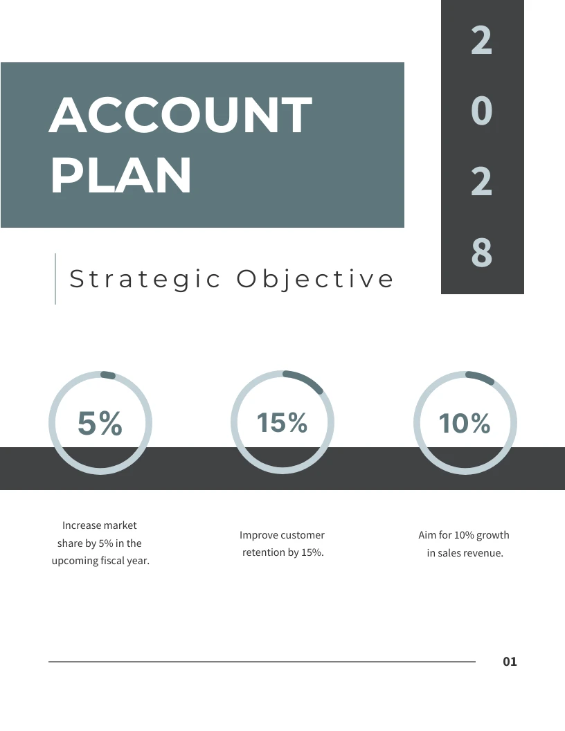 Simple Account Plan Template - Venngage