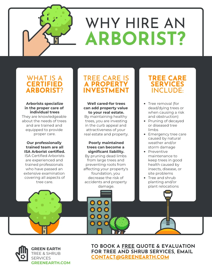 Tree Service Flyer Template - Venngage