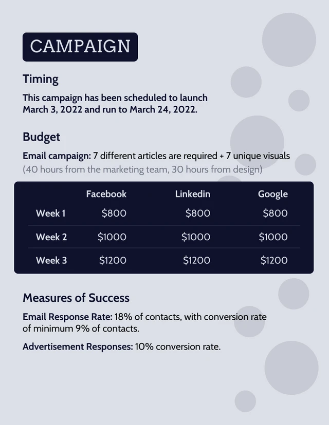 Business Promotional Marketing Plan - Venngage