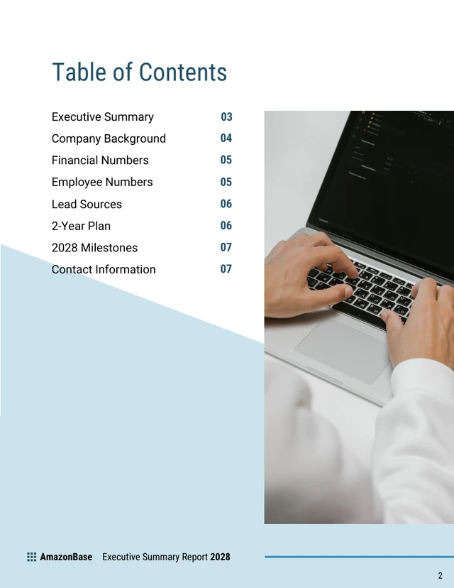 Modelo de relatório executivo - Venngage