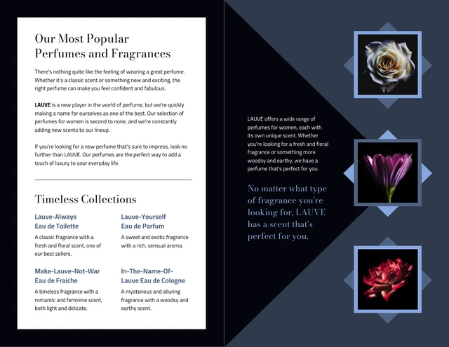 Sales Brochure Template - Venngage