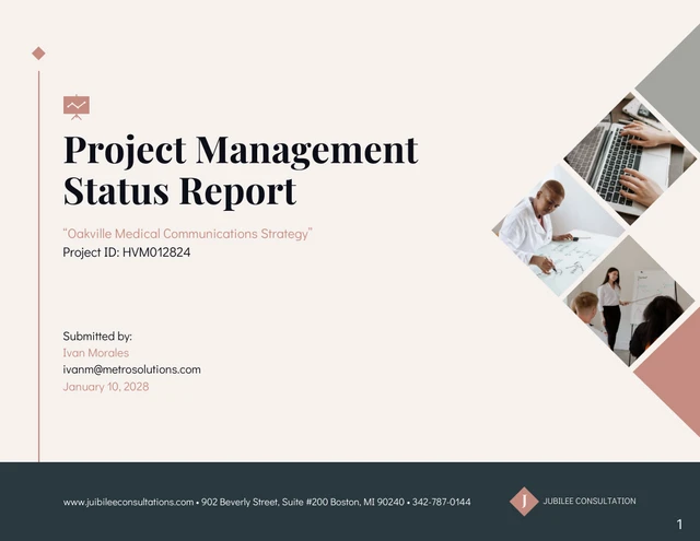 Management Report Template - Venngage