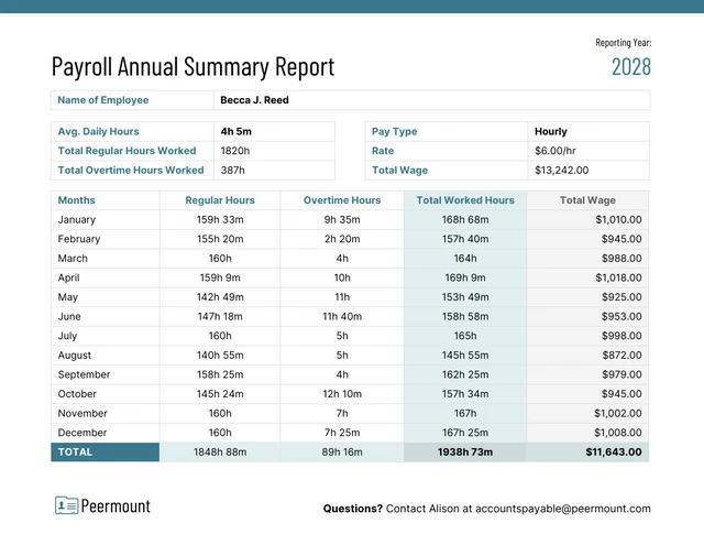 Modèle de rapport de paie - Venngage